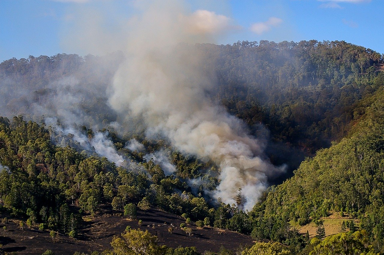 שריפות באוסטרליה - אוסטרליה וניו זילנד