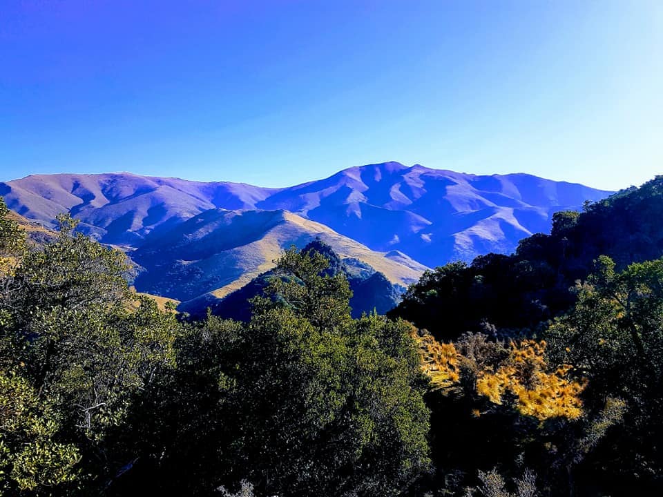 Mount Nimrod Track - אוסטרליה וניו זילנד