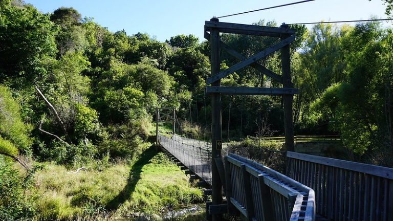 Tangoio & Te Ana Falls - אוסטרליה וניו זילנד